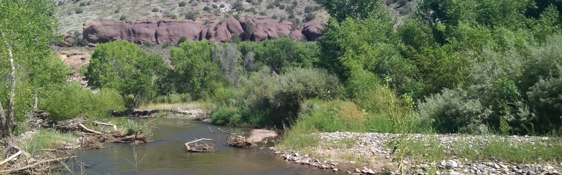 Protect Our New Mexico Wilderness - New Mexico Wilderness Alliance