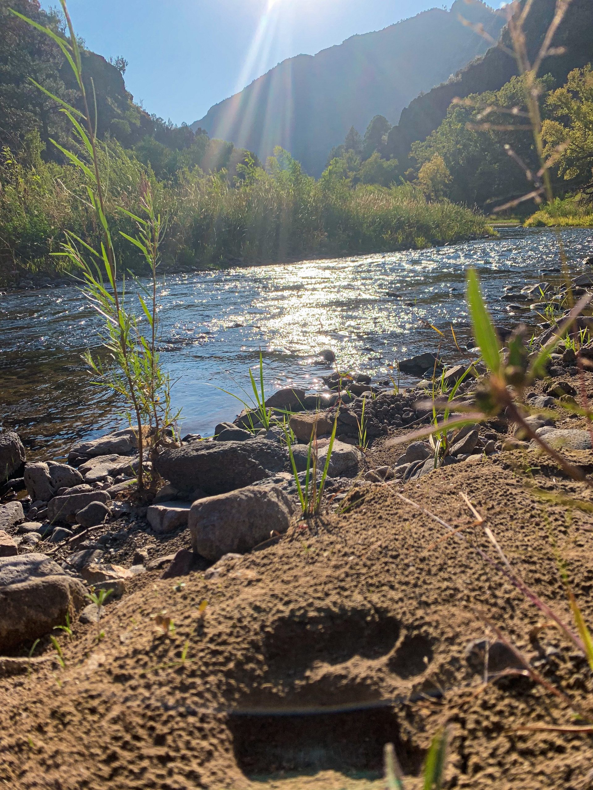 Pecos River labeled among most endangered waterways due to potential ...
