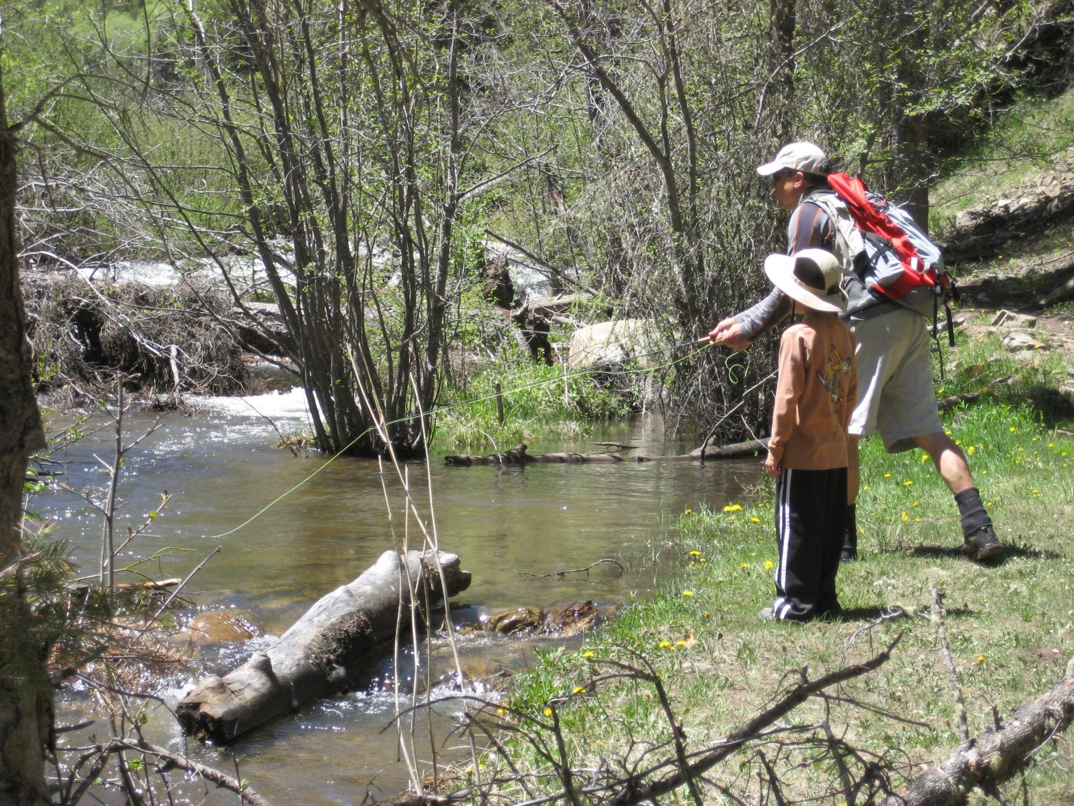 Protecting Pecos River protects a way of life - New Mexico Wilderness ...