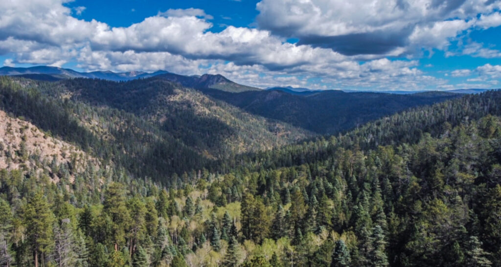 Stop Tererro Mine - New Mexico Wilderness Alliance