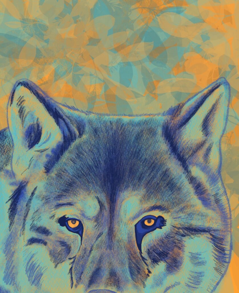 Announcing the 2024 Wolf Stamp Contest Winner! - New Mexico Wilderness ...