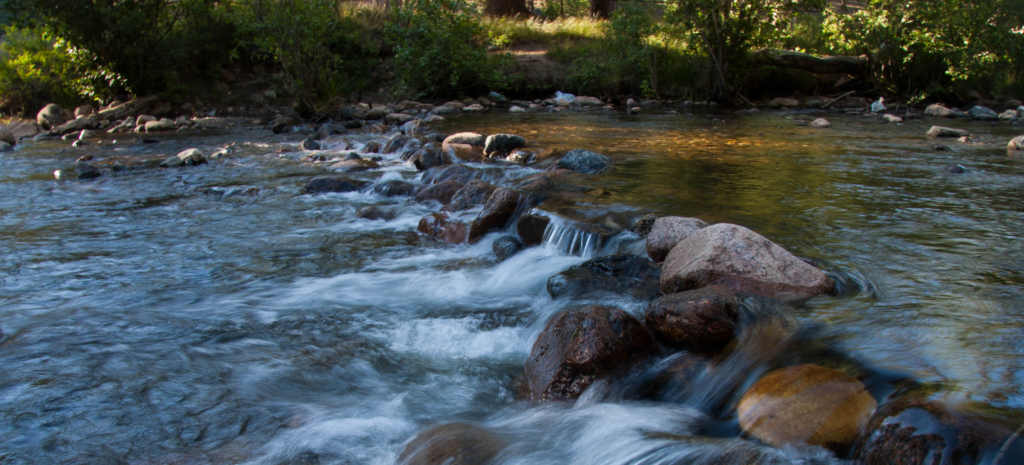 Sign the Petition to Stop Tererro Mine - New Mexico Wilderness Alliance